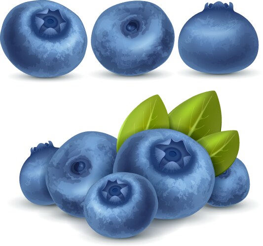 Blueberry Vector Images (over 30,000)