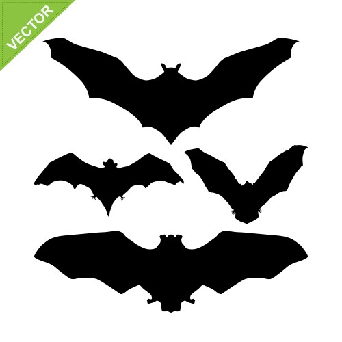 Cuckoo bird silhouettes Royalty Free Vector Image