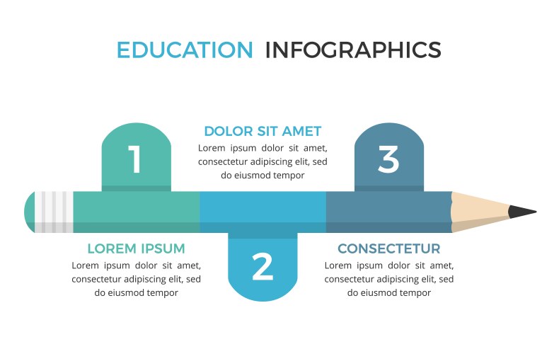 Education infographics with pencil Royalty Free Vector Image