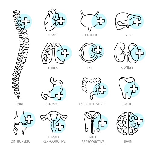 Internal Vector Images (over 550,000)