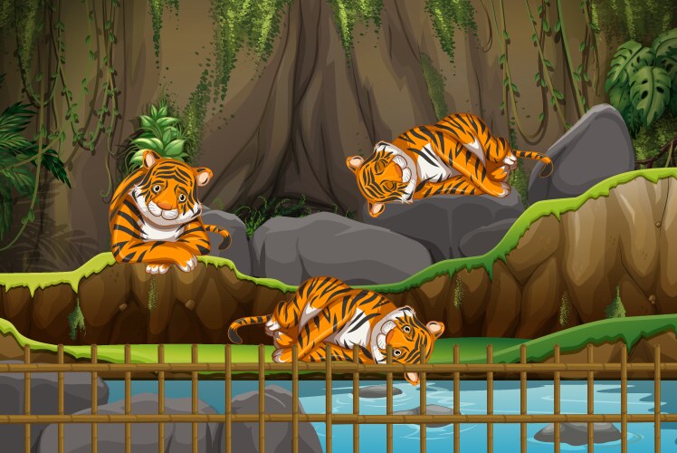 Tigers Vector Images (over 76,000)