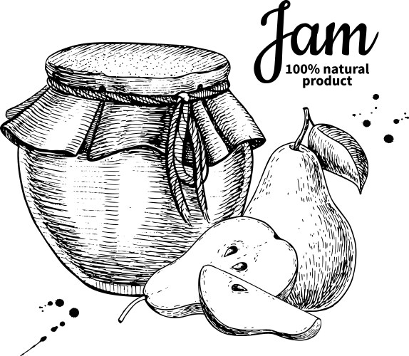 Fruit jam glass jar drawing jelly Royalty Free Vector Image