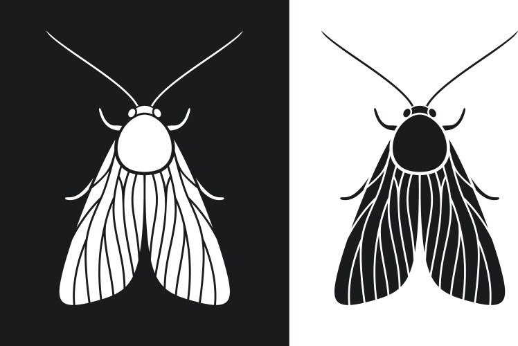 Set of one butterfly or moth shape in three Vector Image