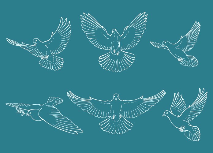 Hand drawn dove outline line art style isolated Vector Image