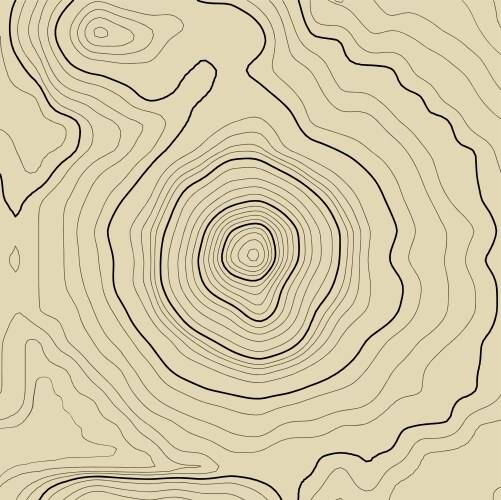 Topographic map sketch hand drawn landscape Vector Image