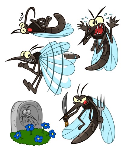 Mosquito Vector Images (over 16,000)