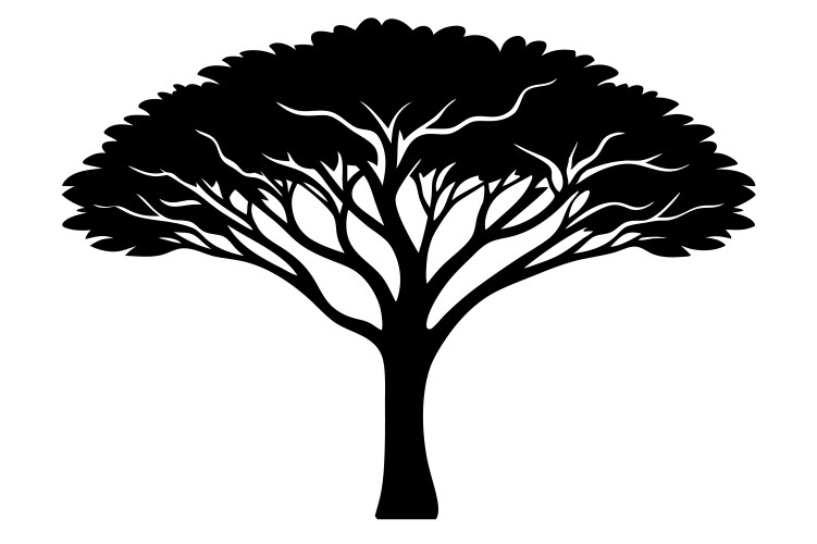 Modern safari tree - elegant and minimalist Vector Image