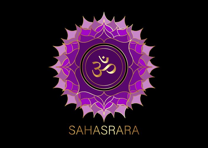 Shri yantra or sri chakra Royalty Free Vector Image