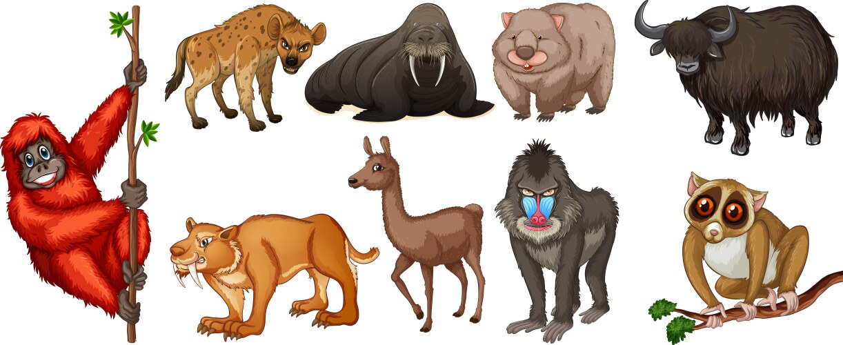 Wild Vector Images (over 1 million)