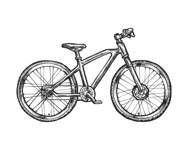 Bicycle 6 Royalty Free Vector Image - VectorStock