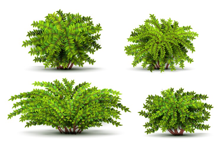 Bushes Vector Images (over 91,000)