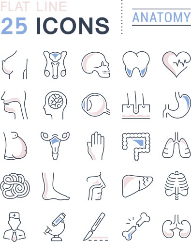 Line web and user interface design icons big set Vector Image