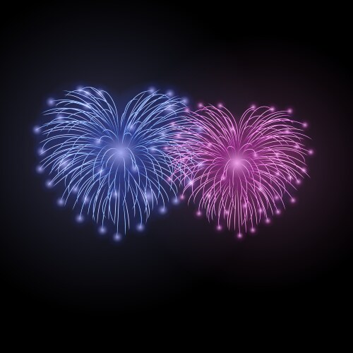 Festival firework colorful carnival fireworks Vector Image