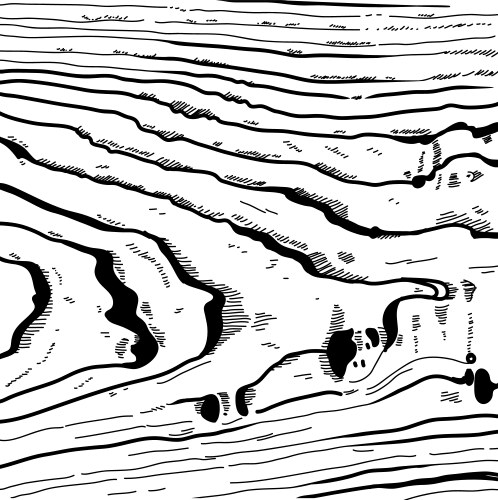 Line Art Wood Grain Vector Images (over 1,600)