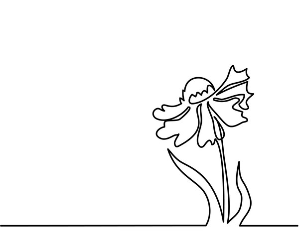 Beautiful lily flower close-up side view Vector Image