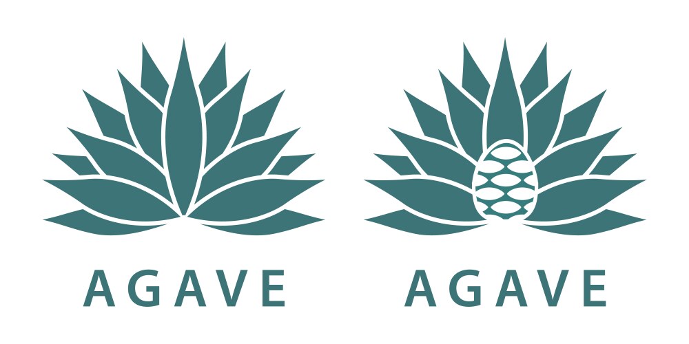 Agave Royalty Free Vector Image - VectorStock