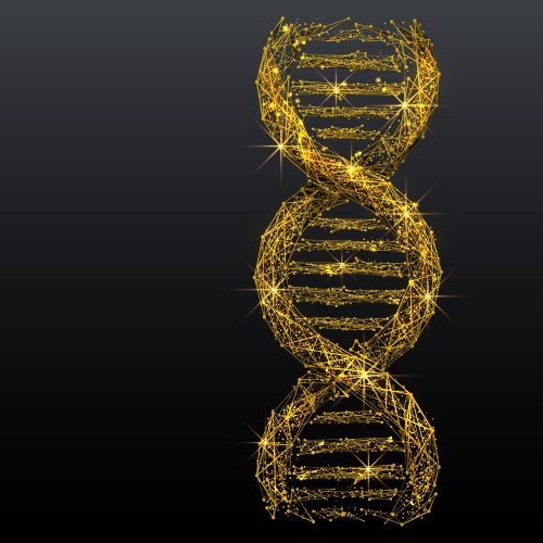 Abstract gold dna helix structure on black Vector Image