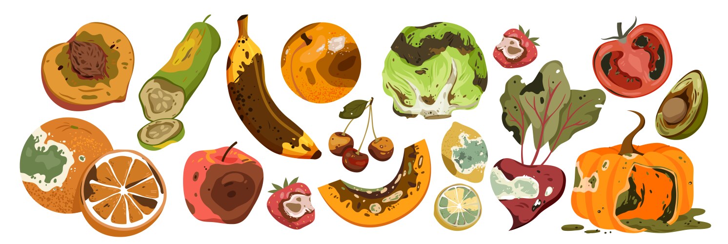 Cartoon Rotten Fruits And Vegetables Rotten Free Stock Vectors