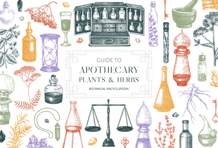 Antique apothecary label design herbal medicine Vector Image