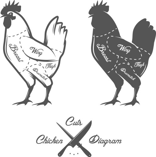 Chicken Vector Images (over 210,000)