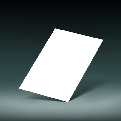 Empty photo frames paper notes Royalty Free Vector Image