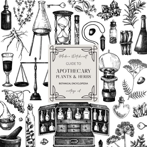 Antique apothecary banner medicinal herbs Vector Image