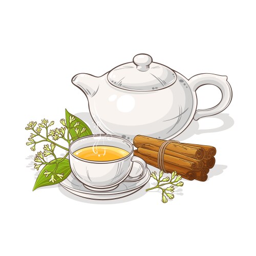Jasmine tea Royalty Free Vector Image - VectorStock