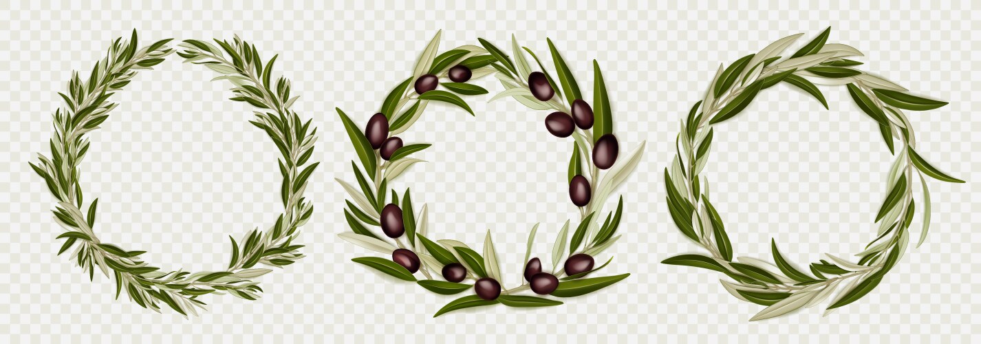 Olive Branch Border Vector Images (over 9,700)