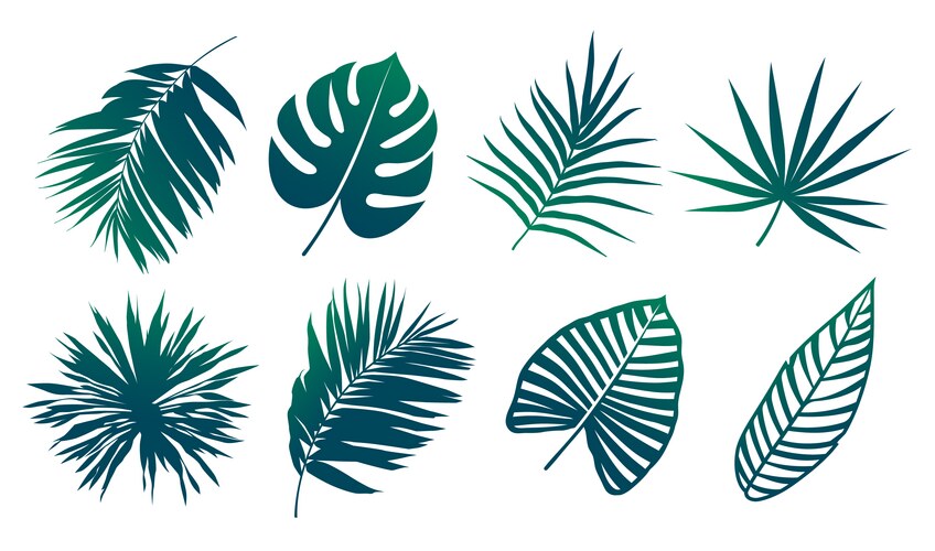 Tropical Leaves Vector Images (over 120,000)