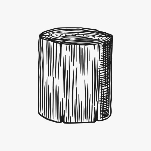 Cypress trees in greece greek style antique Vector Image