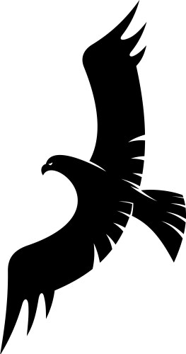 Flying Eagle Vector Images (over 39,000)