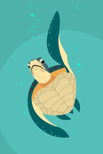 Turtle Scales Vector Images (over 250)