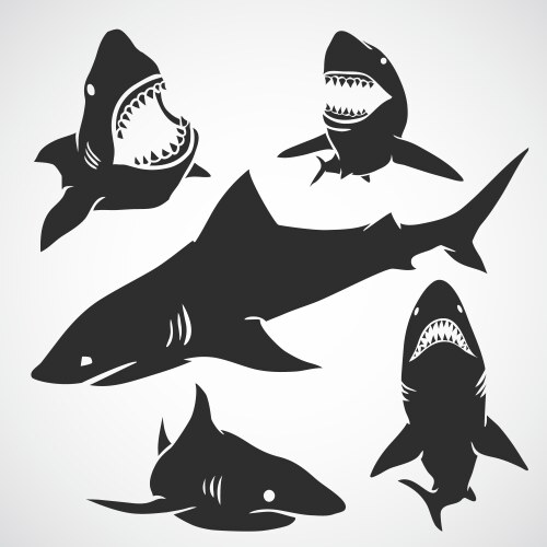 Shark Vector Images (over 36,000)