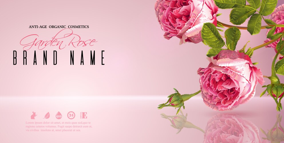 Rose Banner Vector Images (over 52,000)