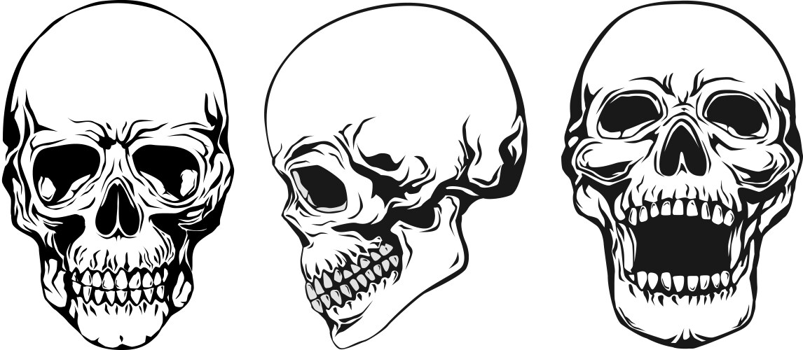 Skull Vector Images (over 260,000)