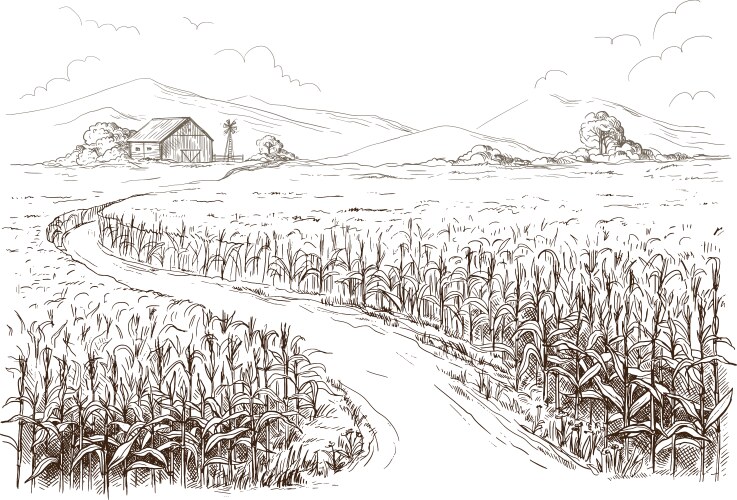 Field hand drawing sketch engraving Royalty Free Vector