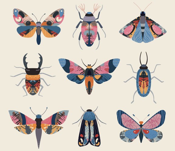 Set colorful insects with hand drawn Royalty Free Vector