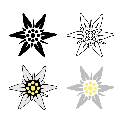 Edelweiss Icon Vector Images (over 250)
