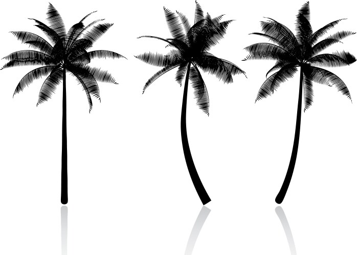 Palm Tree Vector Images (over 160,000)
