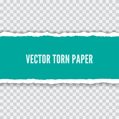 Torn paper banner Royalty Free Vector Image - VectorStock