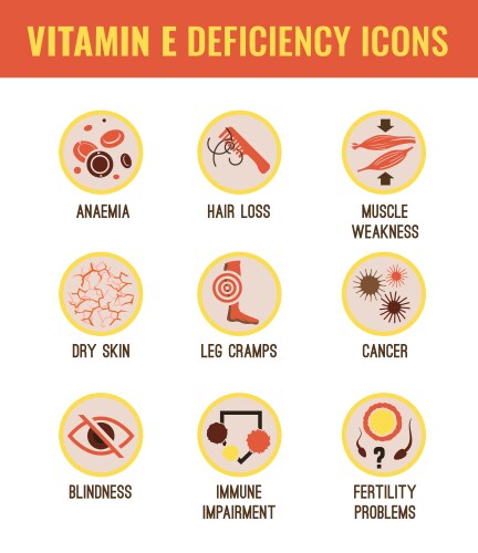 Vitamin e deficiency Royalty Free Vector Image
