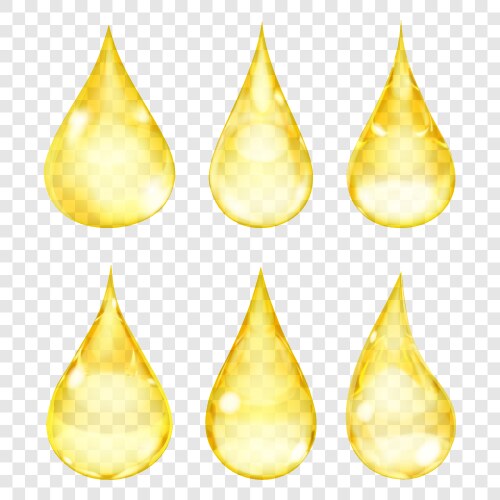 Realistic oil drops shine yellow droplets set Vector Image