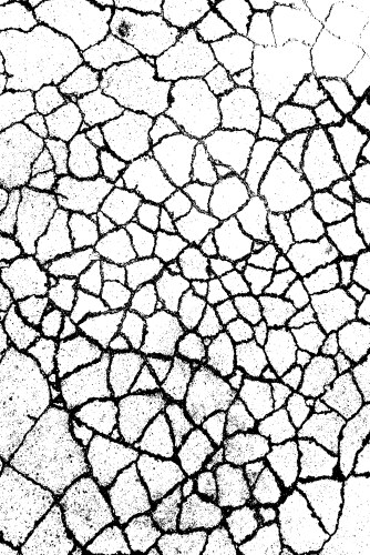 Crackle texture Royalty Free Vector Image - VectorStock