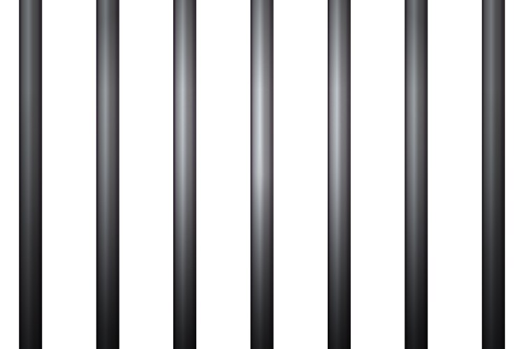 Prison jail bars isolated on white background Vector Image