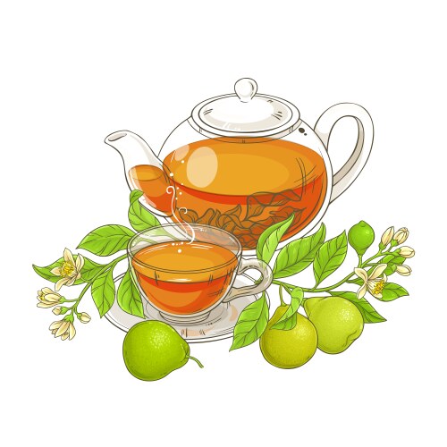 Tea Vector Images (over 270,000)