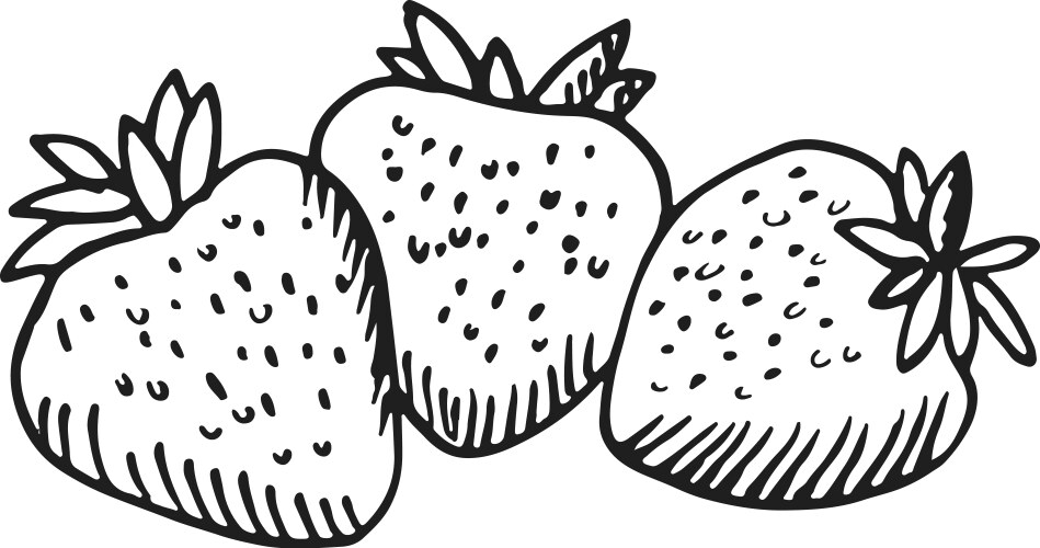 Berries Berry Drawing Vector Images (over 49,000)