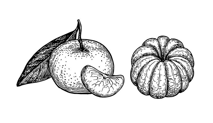 Tangerine Vector Images (over 13,000)