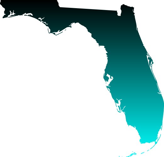 Highly detailed gray map of florida us state Vector Image