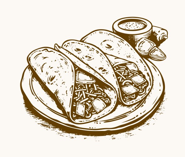 Taco sketch hand drawn food restaurant – Royalty-Free Vector | VectorStock