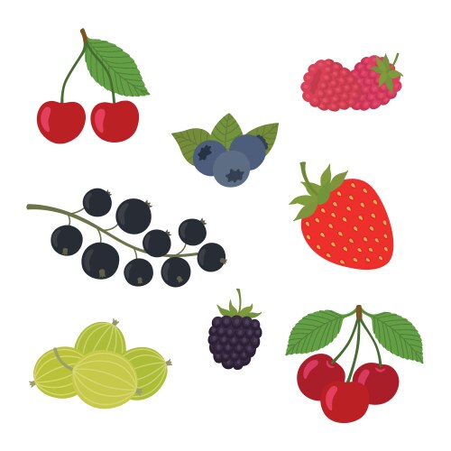 Berries set 3 Royalty Free Vector Image - VectorStock